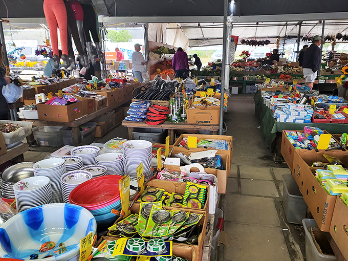 The iconic red exterior isn't just eye-catching&mdash;it's a siren call to bargain hunters promising treasures that'll make your wallet and your home happy.