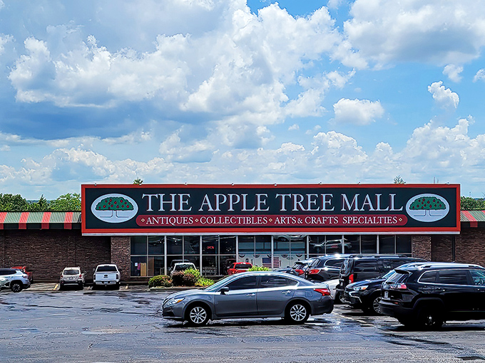 The iconic red-trimmed sign welcomes treasure hunters to The Apple Tree Mall, Branson's answer to the question "Where did all the cool stuff go?"