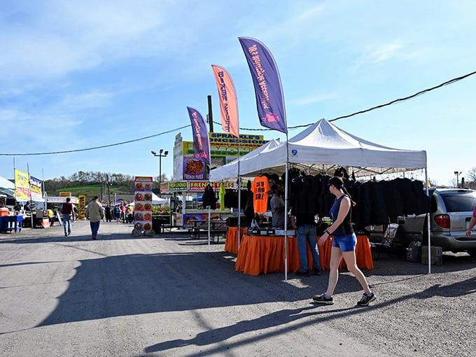 Welcome to treasure hunter paradise! Rogers Flea Market stretches before you with colorful tents and endless possibilities under the Ohio sky.