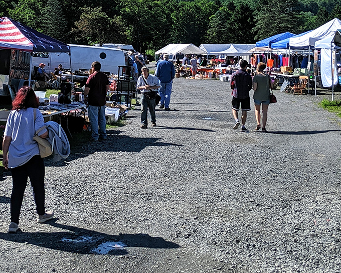 The treasure hunt begins! Rows of white tents stretch into the distance, each one a potential goldmine of forgotten treasures and unexpected delights.