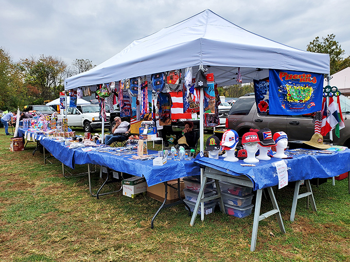 Rows of vendor booths stretch endlessly, creating a treasure hunter's paradise where every aisle promises new discoveries.