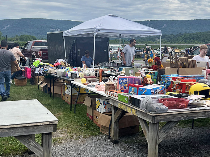 The iconic yellow sign welcomes treasure hunters to Leighty's sprawling 29-acre wonderland, where Sunday mornings transform into adventures of discovery.
