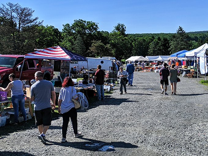 Treasure hunting paradise! Wooden chests, framed artwork, and vintage knickknacks spill from vans and tables, promising discoveries that'll make your friends jealous.