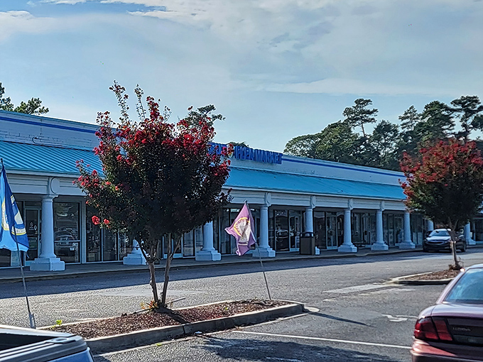 The turquoise-roofed treasure trove beckons with its bold blue signage. Like a siren call to bargain hunters, Everything Under The Sun promises exactly what its name suggests.