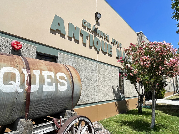 The iconic water tank outside announces your arrival at treasure-hunting paradise. Like a rustic sentinel guarding decades of memories waiting to be rediscovered.