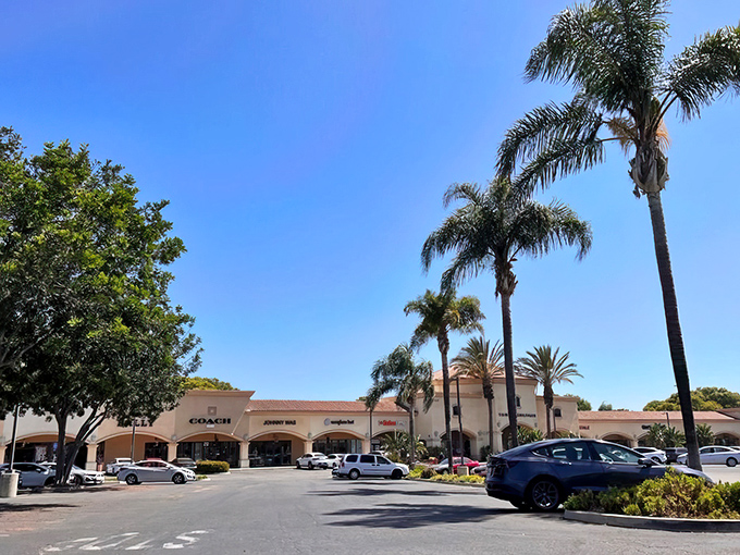 Palm trees stand guard over Coach and other luxury stores, creating that quintessential California shopping oasis where your wallet goes to vacation.