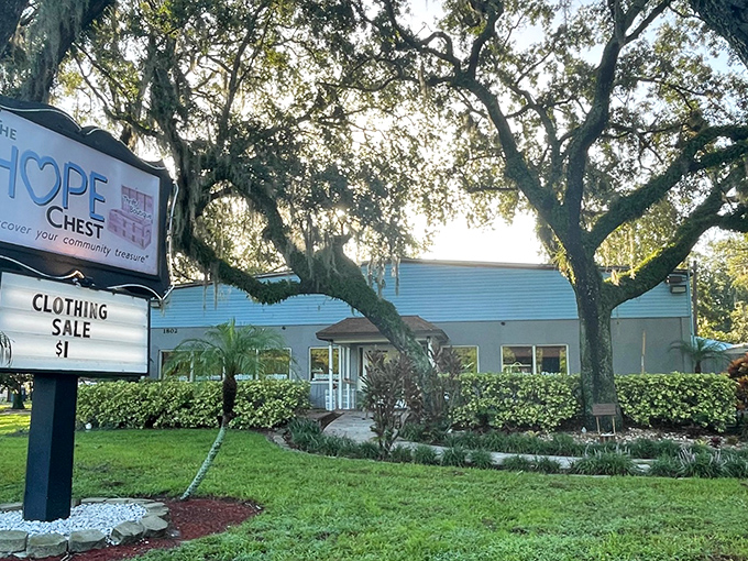 The unassuming blue building nestled under majestic oaks belies the treasure trove within. Florida sunshine highlights this bargain hunter's paradise.