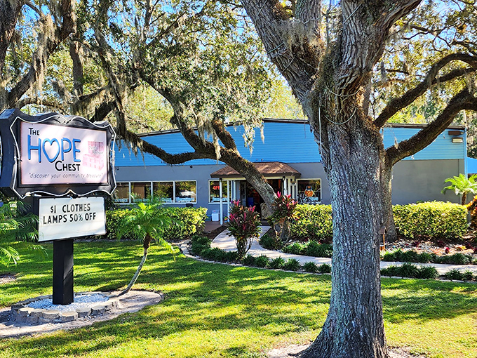The unassuming blue building nestled under majestic oaks belies the treasure trove within. Florida sunshine highlights this bargain hunter's paradise.