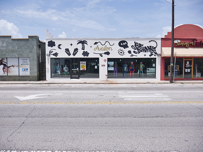That distinctive storefront mural whispers "treasures await inside" louder than your neighbor's leaf blower.