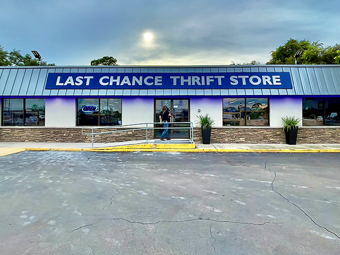 Your grandmother's attic called, and it moved to Palm Harbor - complete with that classic Florida strip mall charm.