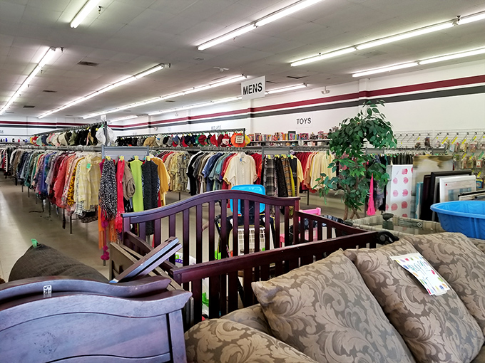 The unassuming storefront that houses more treasures than a pirate's chest. Simple signage, extraordinary possibilities within.