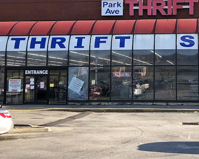 The unassuming exterior hides a treasure trove within—like finding out your quiet neighbor is secretly a rock star with an impressive vinyl collection.