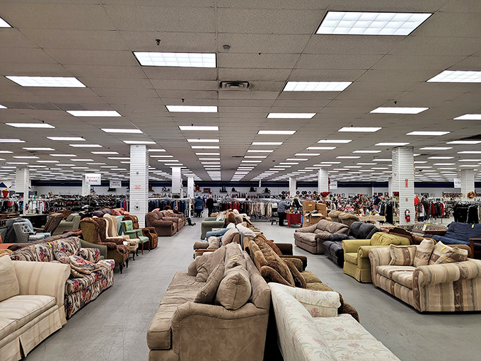 A sea of sofas stretches to the horizon in this bargain hunter's paradise. Who knew secondhand heaven would have such comfortable seating options?