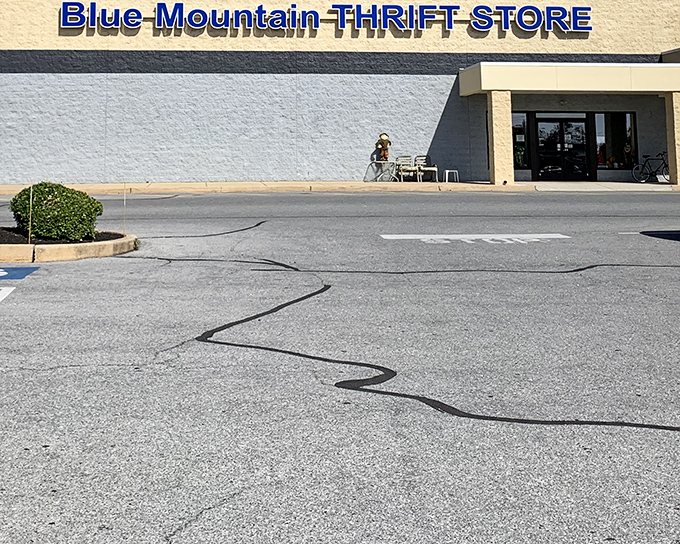 The unassuming exterior of Blue Mountain Thrift Store&mdash;like finding a five-star restaurant in a strip mall, the treasures inside defy the modest fa&ccedil;ade.