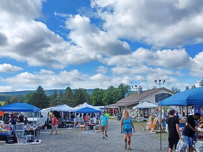 The treasure hunt begins! Rows of vendors stretch across the Pocono countryside, where one person's castoffs become another's prized discoveries.