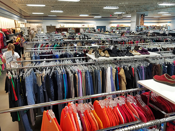 Inside Palmetto Goodwill lies a treasure trove worthy of any bargain hunter&rsquo;s dreams. Like a thrift store Narnia, this blue-trimmed portal opens to endless adventures.
