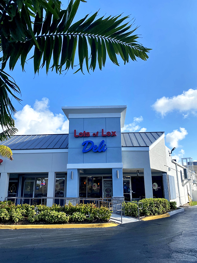 Palm fronds frame the unassuming exterior of Lots of Lox Deli, where Miami's breakfast dreams come true beneath that cheerful red and blue signage.