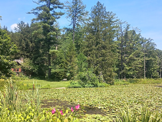 Nature's welcome mat spreads before you like an invitation to leave civilization's chaos behind.