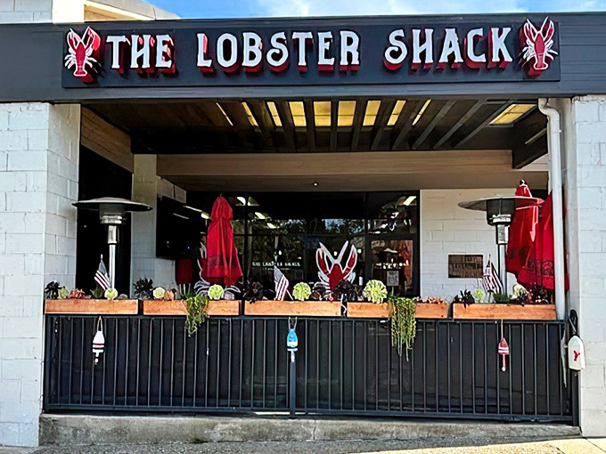 The red lobster signs flanking the entrance aren't just decoration&mdash;they're beacons calling to seafood lovers like maritime lighthouses guiding hungry sailors home.