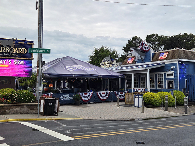 The iconic blue exterior of The Starboard stands like a beacon of good times on Dewey Beach's main drag, where motorcycles and memories gather in equal measure. 