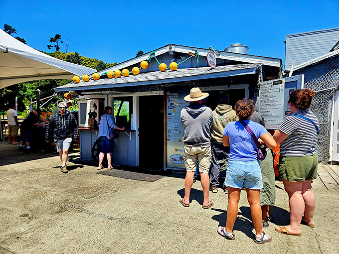 The unassuming exterior of Sea Pal Cove might fool you, but locals know this harbor-side shack houses seafood treasures worth the coastal drive.