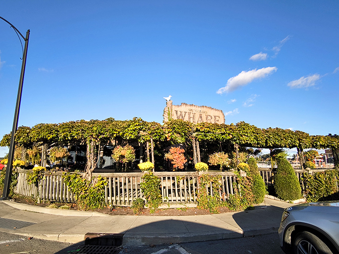 Nature's slowly reclaiming this maritime treasure, with vines embracing the weathered sign like old friends reuniting at a high school reunion.
