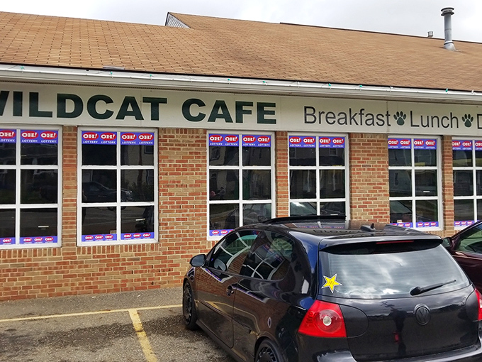 The unassuming brick exterior of Wildcat Cafe hides culinary treasures within. Like finding a winning lottery ticket in your winter coat pocket.