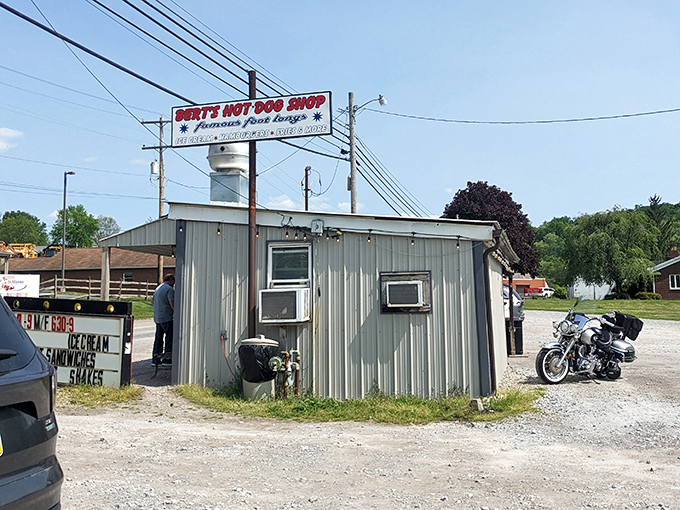 The iconic red and blue sign beckons like a lighthouse for hungry travelers. Bert's promises not just hot dogs, but an authentic slice of Pennsylvania food culture.