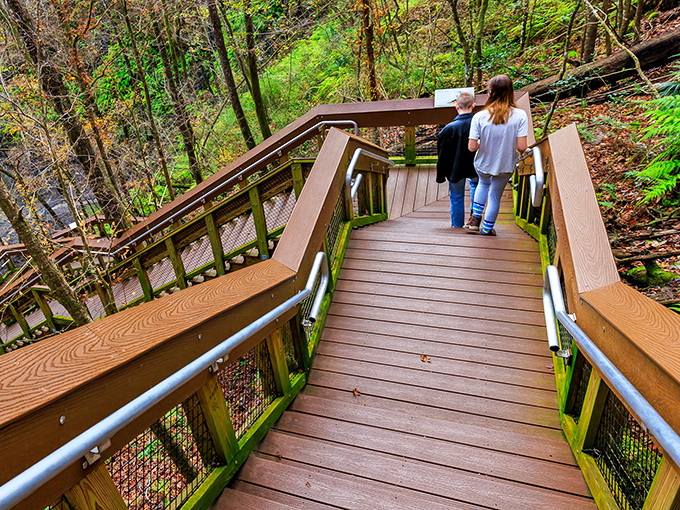 Nature's grand staircase descends into a prehistoric world. The wooden boardwalk at Devil's Millhopper feels like entering Jurassic Park without the dangerous dinosaurs.