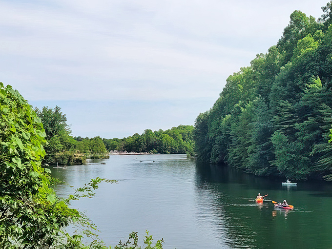 Kayakers glide through tranquil waters bordered by lush forest canopies&mdash;nature's version of a luxury cruise, minus the buffet line and questionable entertainment.