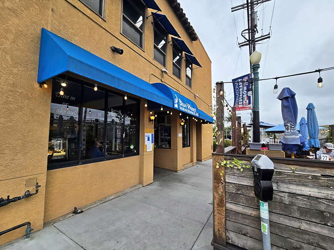 The unassuming exterior of Blue Water Seafood Market & Grill hides culinary treasures that would make Neptune himself swim ashore for dinner.