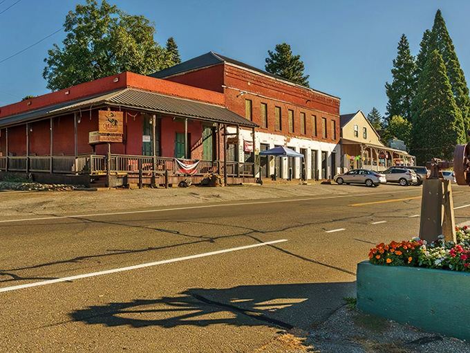 Downtown Foresthill showcases its Gold Rush heritage with that impressive courthouse dome standing sentinel over charming storefronts. Small-town America that actually delivers on its promise.