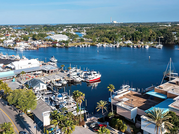 Dodecanese Boulevard welcomes visitors with its distinctive blue and white color scheme, Greek flags fluttering in the Gulf breeze – a slice of the Aegean in Florida.