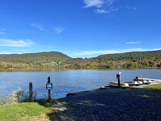 Mother Nature's front-row seats to serenity. This lakeside offers the kind of sunset view that makes you forget your password troubles instantly.