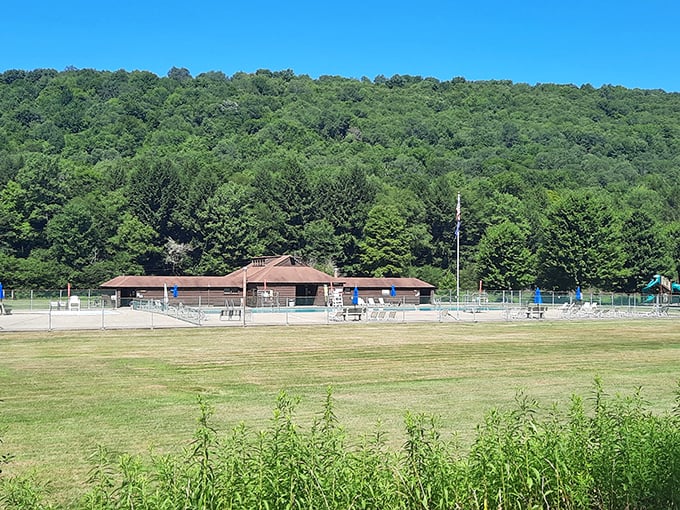 The park's rustic pavilion and swimming pool area nestled against a lush green hillside &ndash; nature's version of a five-star resort, minus the overpriced minibar.