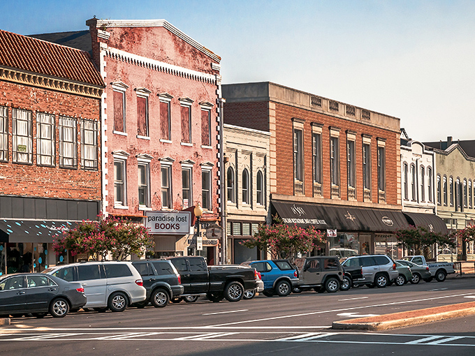 Rome's skyline is a love letter to red brick and Southern charm, where historic buildings stand proudly against the backdrop of rolling Georgia hills.