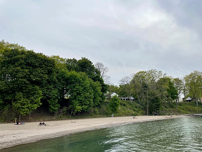 Nature's perfect frame: lush greenery embraces the sandy shoreline, creating a peaceful retreat where Lake Erie whispers to visitors year-round.