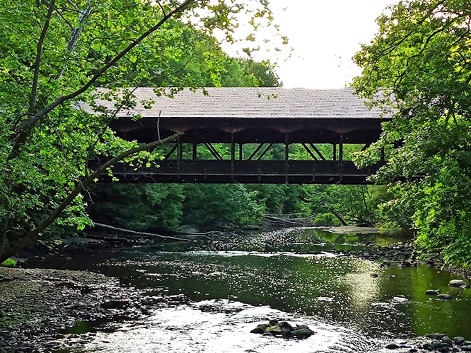 A wooden boardwalk winds through emerald meadows, inviting visitors to wander into the forest like characters in a storybook adventure.