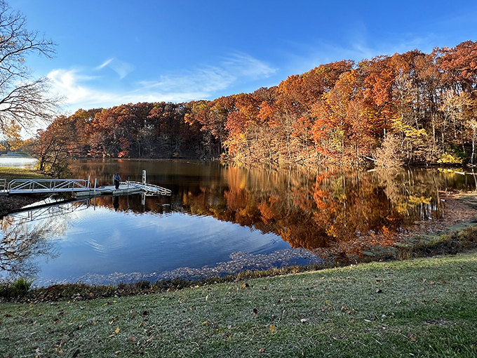 Nature's perfect mirror act! Fall foliage creates a double feature on the lake's surface, proving Ohio doesn't need mountains to deliver breathtaking vistas.