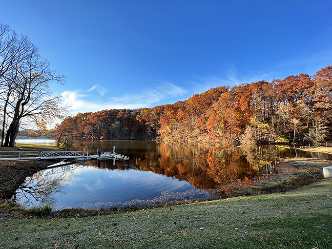 The bridge to serenity isn't metaphorical here&mdash;it's an actual wooden walkway leading to some of Ohio's most peaceful meadows and forests. 