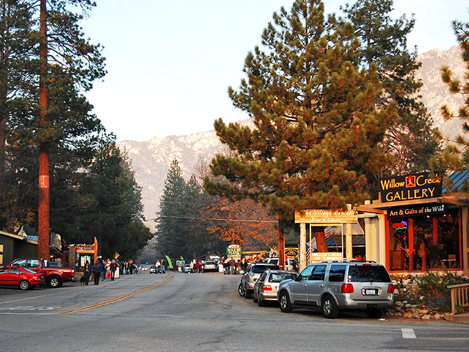 Downtown Idyllwild stretches before you like a movie set, where towering pines replace palm trees and mountain air replaces smog. Small-town California at its finest.