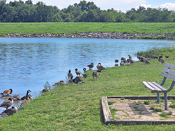 Mother Nature showing off at Williams Creek Lake – where the sky meets water in a perfect mirror image that'll make your Instagram followers jealous.