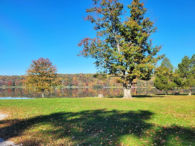 Fall's paintbrush transforms Pinchot Lake's shoreline into nature's masterpiece&mdash;perfect for picnics and peaceful contemplation away from daily chaos.
