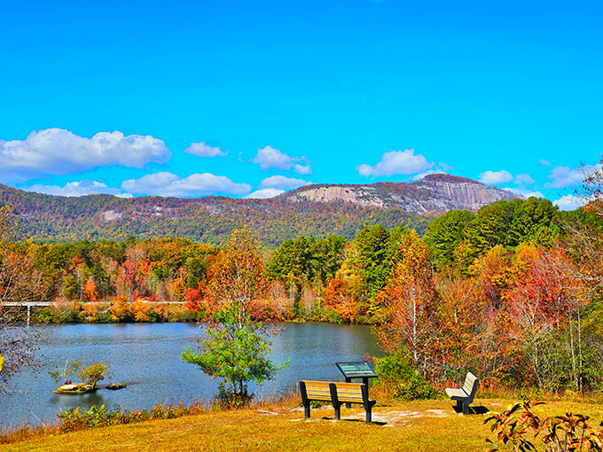 Nature's masterpiece on full display &ndash; this aerial view of the pristine lake surrounded by endless green forest looks like Mother Nature showing off her best work.