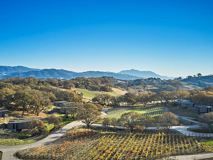 Rolling vineyards stretch toward misty mountains in Sonoma County, where Healdsburg's wine country offers a visual feast that rivals the actual feasting you'll do here.
