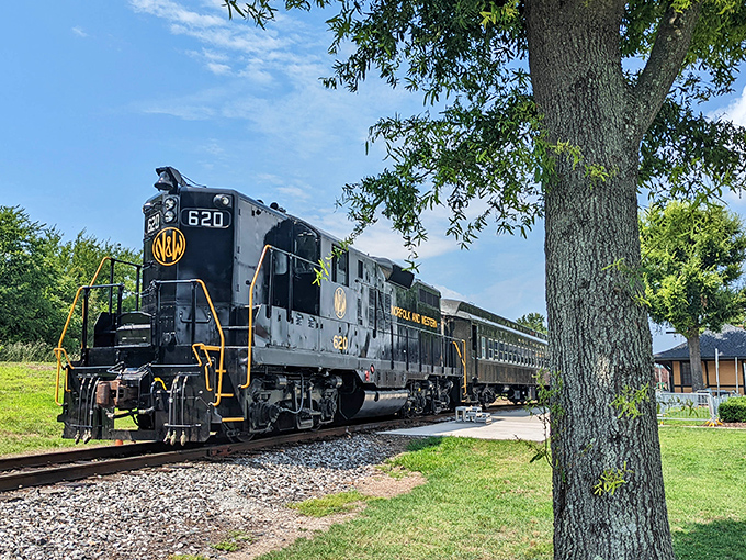 The Norfolk & Western Class J 611 steam locomotive in all its glory, puffing dramatically as it prepares to transport visitors back to the golden age of rail travel.