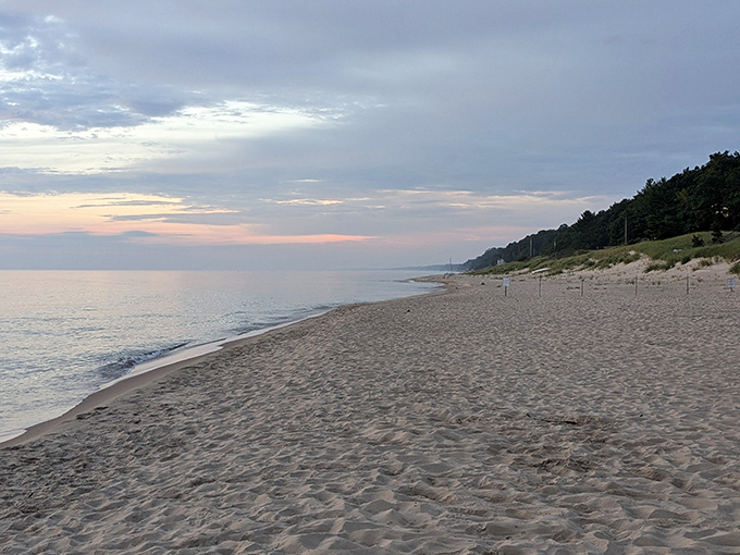 Pure Michigan perfection: where the horizon meets infinity and your worries dissolve faster than an ice cream cone in July heat.