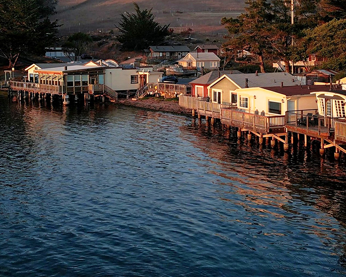 Sunset paints these waterfront homes in golden light, where residents enjoy front-row seats to nature's nightly show. Tomales Bay living at its most picturesque.