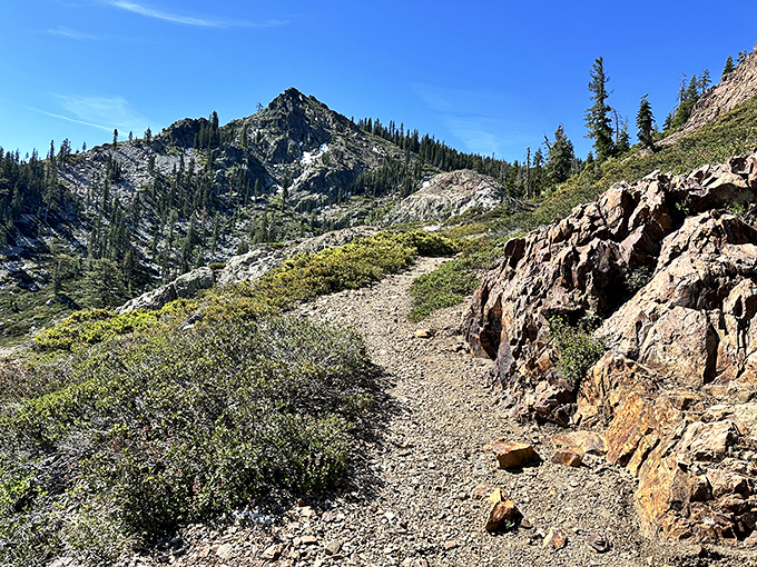 Nature’s rooftop? This alpine trail winding through Sierra pines offers panoramic views so breathtaking, they’ll make your smartphone camera feel obsolete.