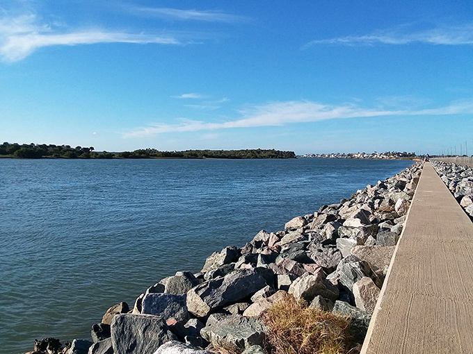 Nature's infinity pool! The glassy waters of Pellicer Creek reflect Florida's endless blue sky, while the observation deck invites contemplative moments away from life's chaos.